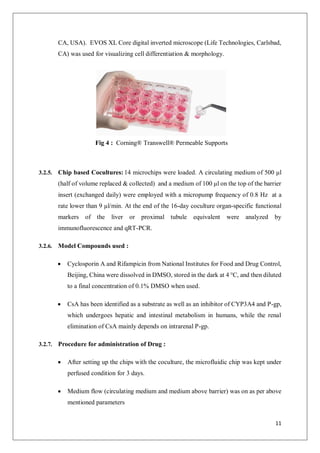 Critical Review (drug toxicity testing using organ on chip) | PDF