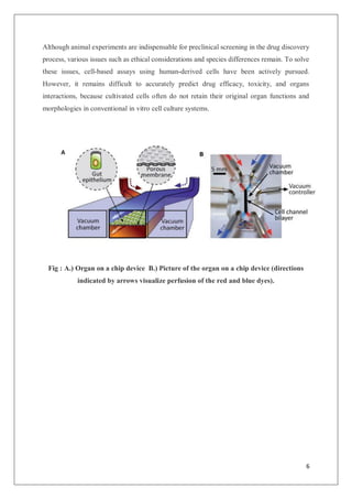 Critical Review (drug toxicity testing using organ on chip) | PDF
