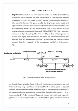 Critical Review (drug toxicity testing using organ on chip) | PDF