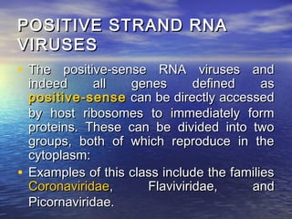 Critical role of host factors which recruit replication in positive ...