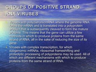 Critical role of host factors which recruit replication in positive ...