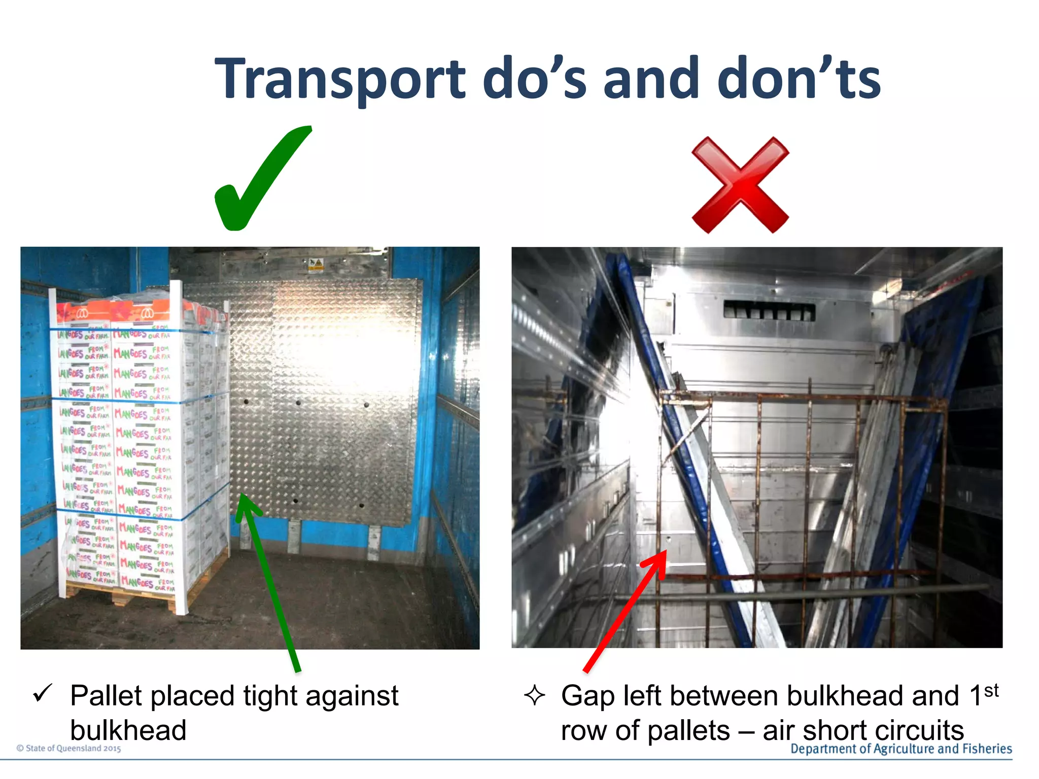 Critical success factors in transporting mango fruit - Presentation ...