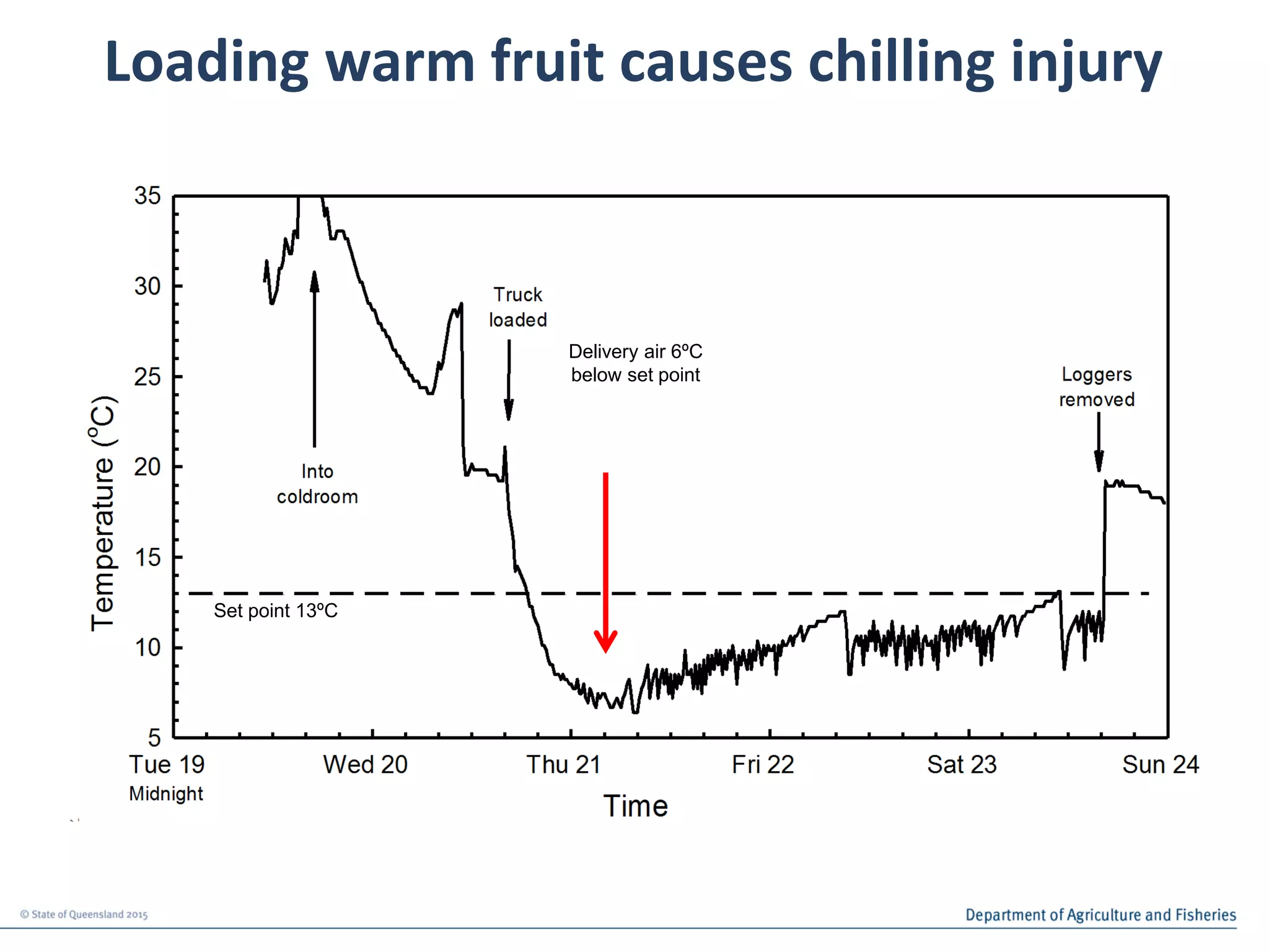 Critical success factors in transporting mango fruit - Presentation ...