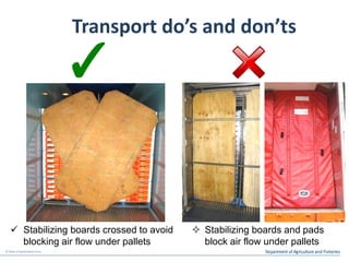 Critical success factors in transporting mango fruit - Presentation ...