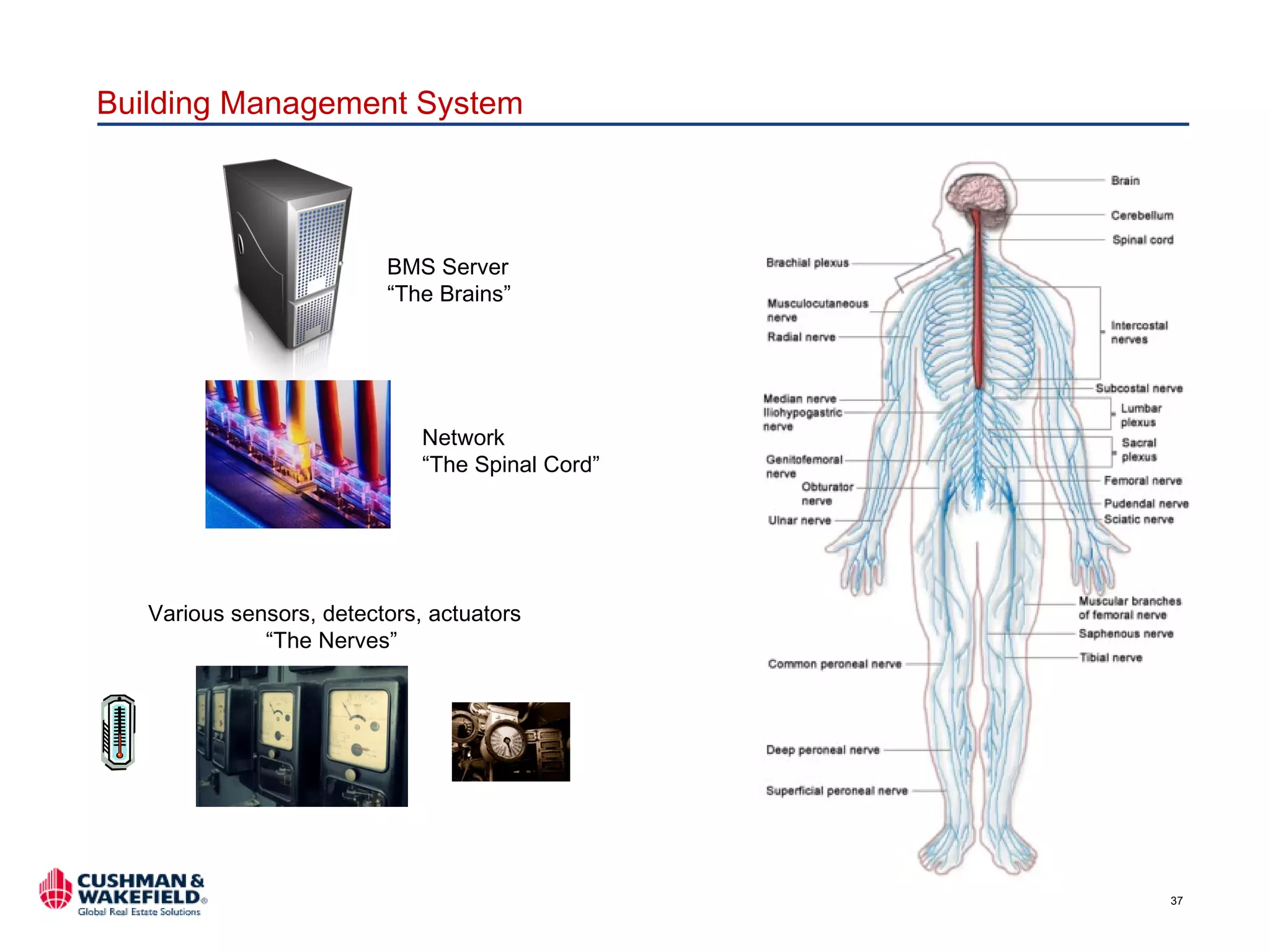 Critical Systems Presentation | PPT