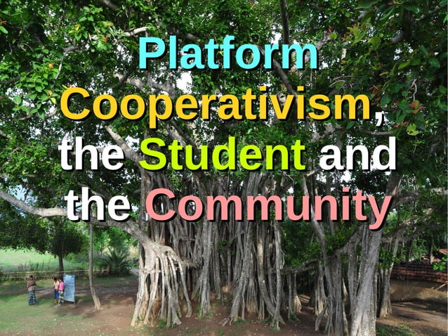 Platform Cooperatives - connecting schools and communities | ODP