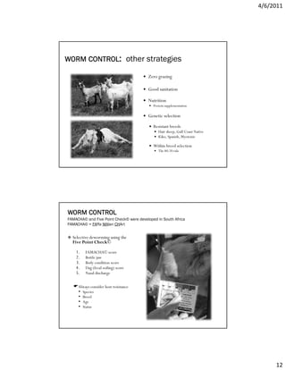 Critical Thinking In Animal Science | PDF