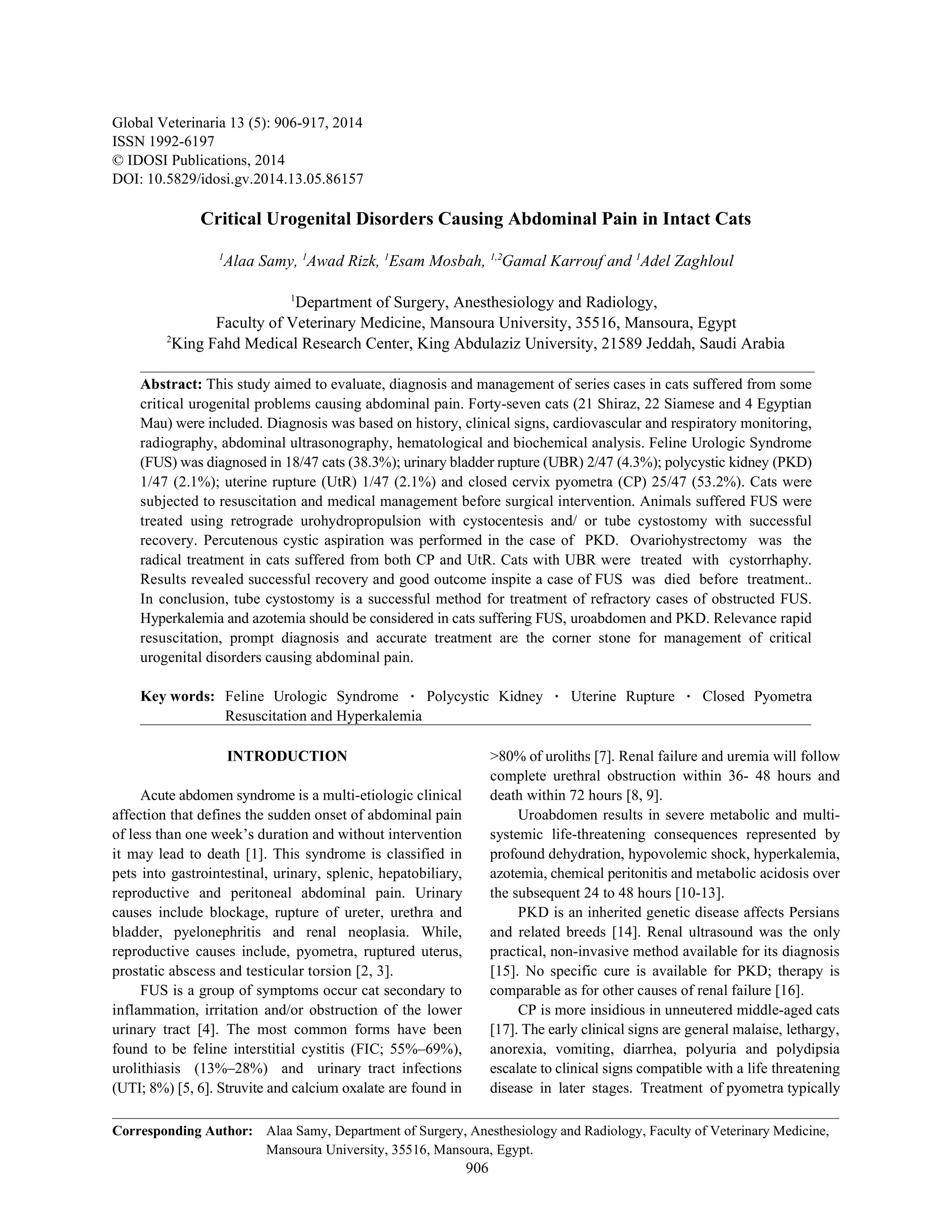 Critical urogenital disorders causing abdominal pain in intact cats | PDF