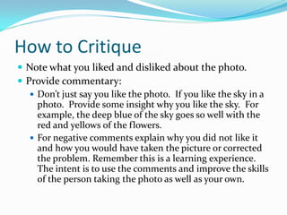 Critique Presentation | PDF