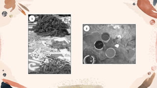 Critiquing Available Materials and Proper Techniques.pdf