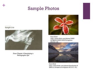 How to Critique Photography | PPTX