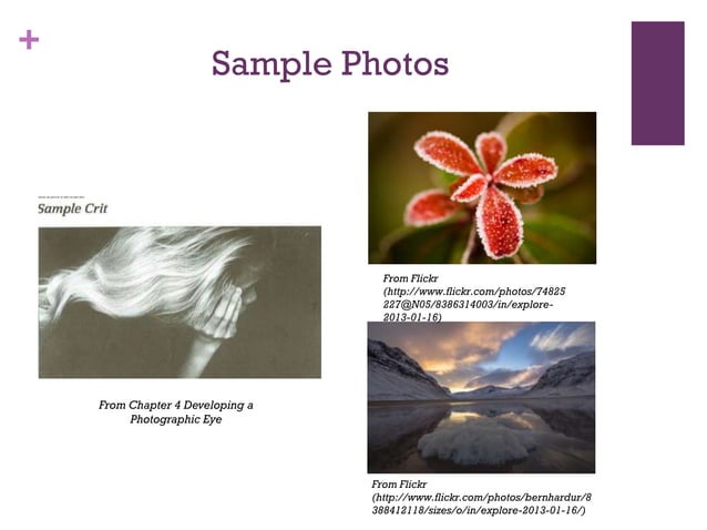 How to Critique Photography | PPTX