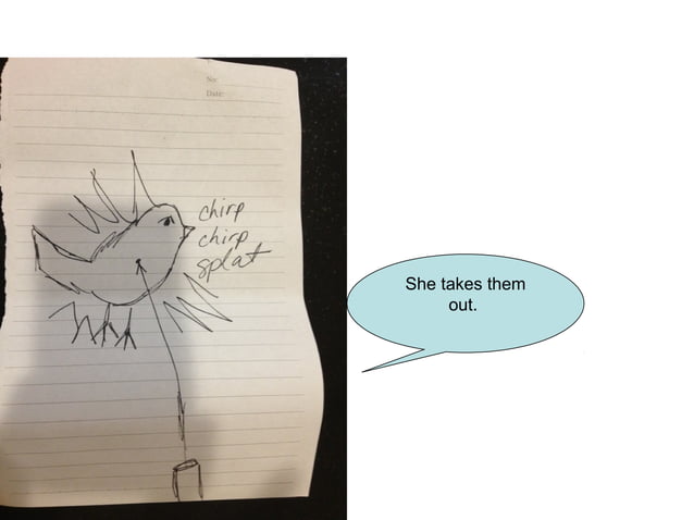 Critters, creatures and a good night’s sleep | PPT