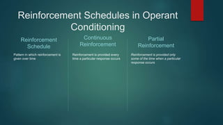 Crit thinking pp.pptx