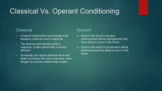 Crit thinking pp.pptx