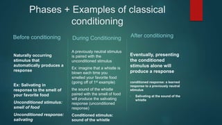 Crit thinking pp.pptx