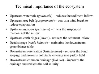 Criwmp cascade lecture part 2 | PDF