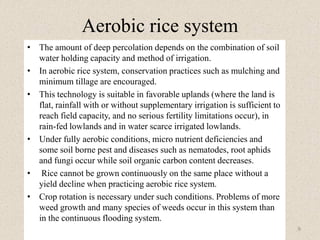 Criwmp cascade lecture part 5 | PPT
