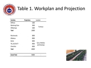 Workplan and Budget for Pre-basic Seed Yam 2016 | PPT