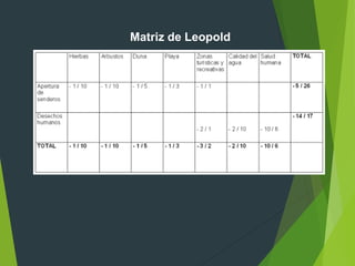 Criterios Relevantes integrados y Matriz Leopold | PPT