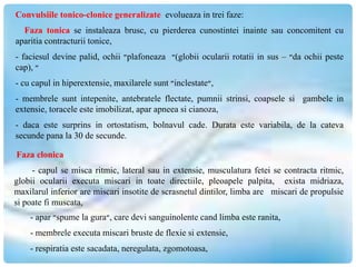 Crizele comitiale | PPTX