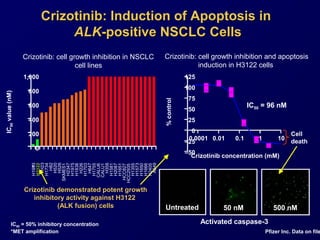 Crizotinib a8081001 asco 2010 slides | PPT