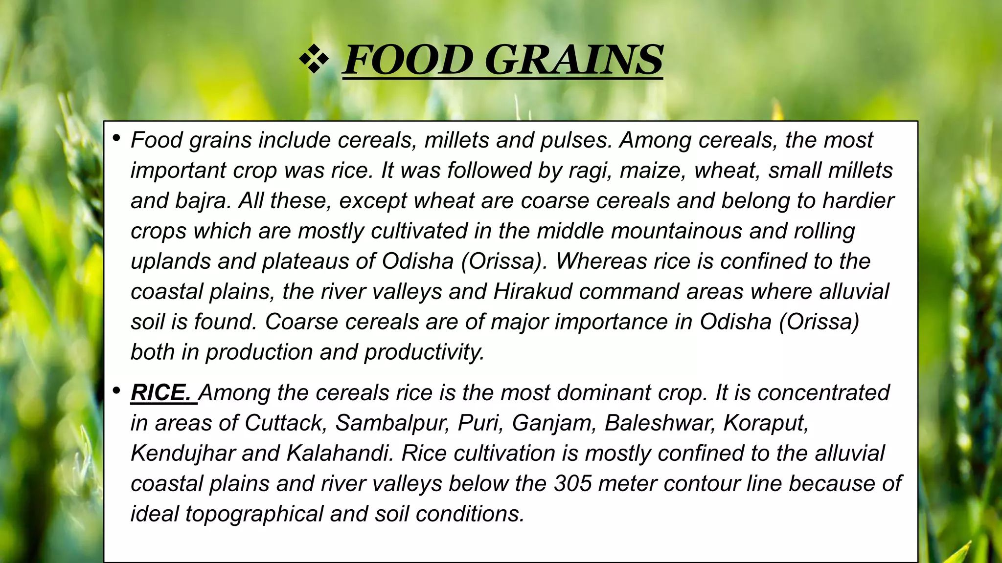 Agriculture in orissa | PPTX