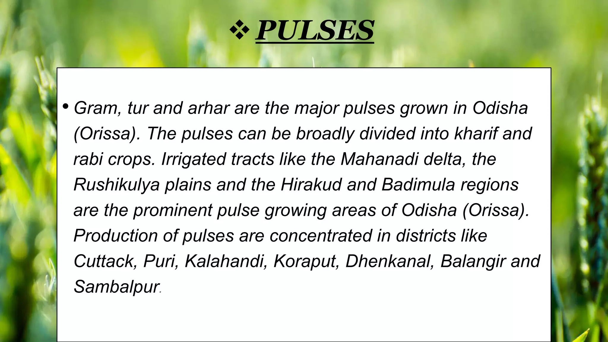 Agriculture in orissa | PPTX