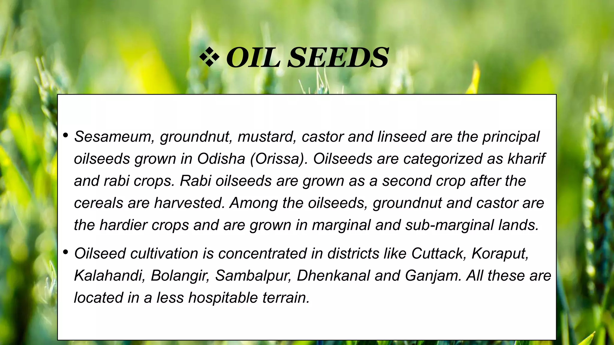 Agriculture in orissa | PPTX