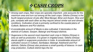 Agriculture in orissa | PPTX