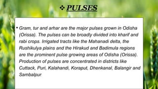 Agriculture in orissa | PPTX
