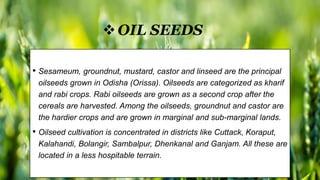 Agriculture in orissa | PPTX