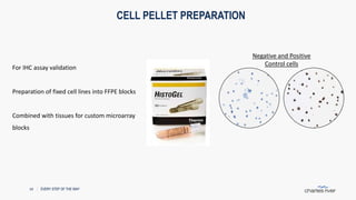 Charles River Pathology Associates Capabilities | PPTX