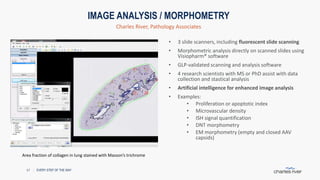 Charles River Pathology Associates Capabilities | PPTX