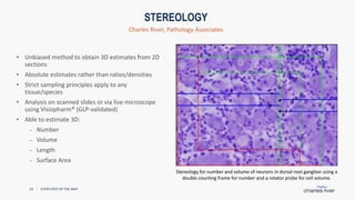 Charles River Pathology Associates Capabilities | PPTX