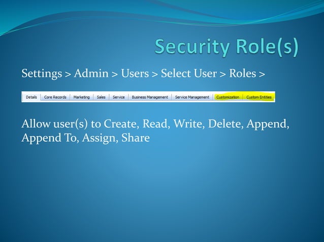 Crm 40 Customizations Basics Ppt