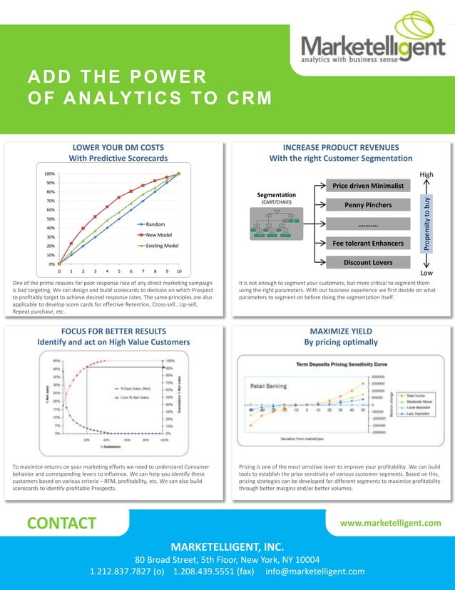 CRM Analytics - Marketelligent | PDF