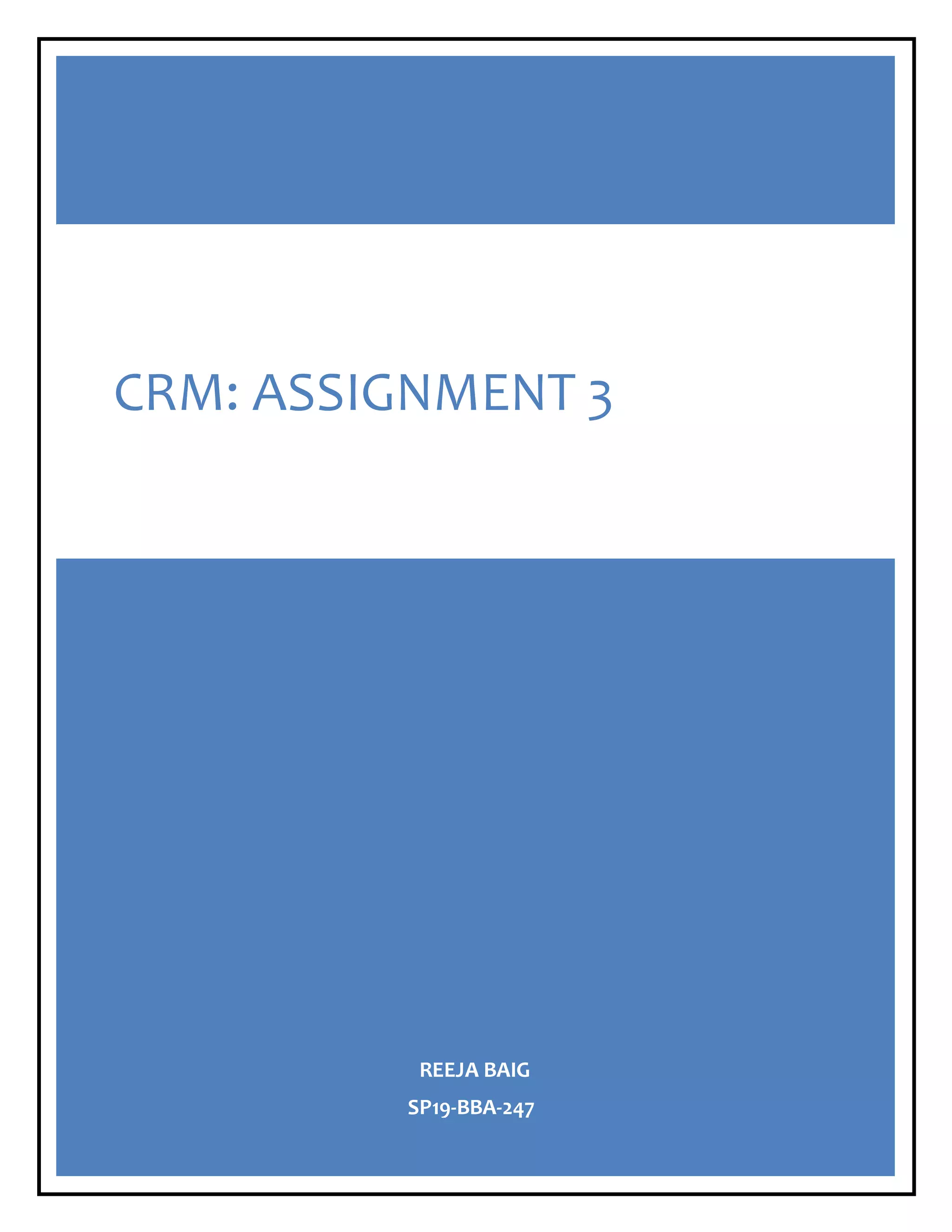 CRM Assignment 3.docx