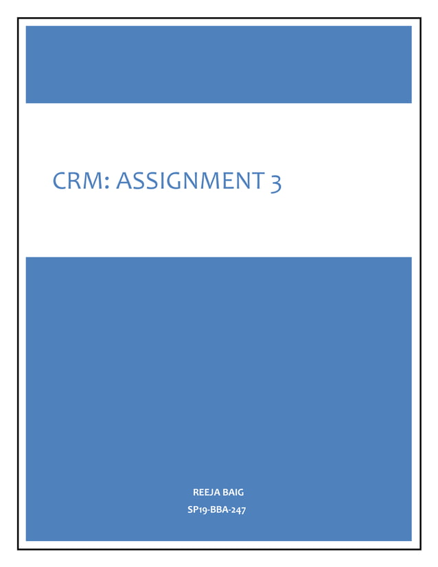 CRM Assignment 3.docx
