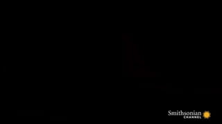 CRM Communication.pptx | Computer Networking | Computing