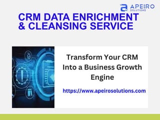 CRM Data Enrichment and cleansing service - Apeiro Solutions.pdf