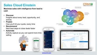 CRMIT Solutions | Global Salesforce Consulting Partners | PDF
