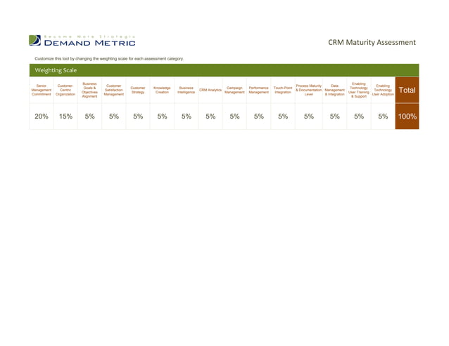 CRM Maturity Assessment | PDF