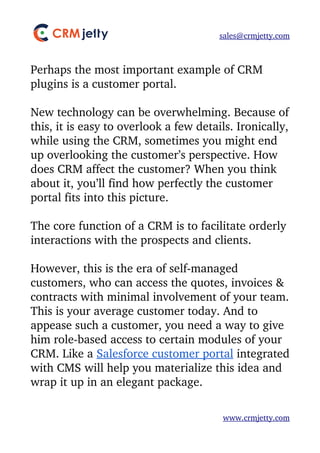 CRM Portals Through the Customer Perspective | PDF