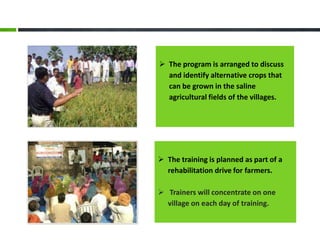 co-operative in rural market | PPT