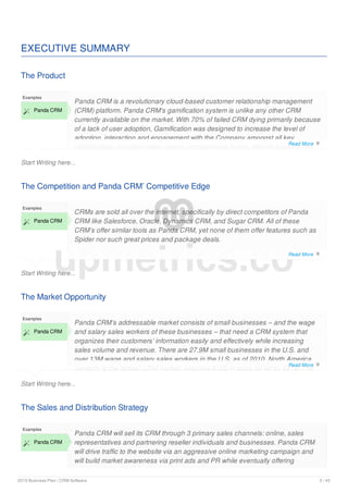 SAAS Business Plan Example - CRM software | PDF