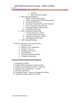 SAP CRM Training Online | PDF