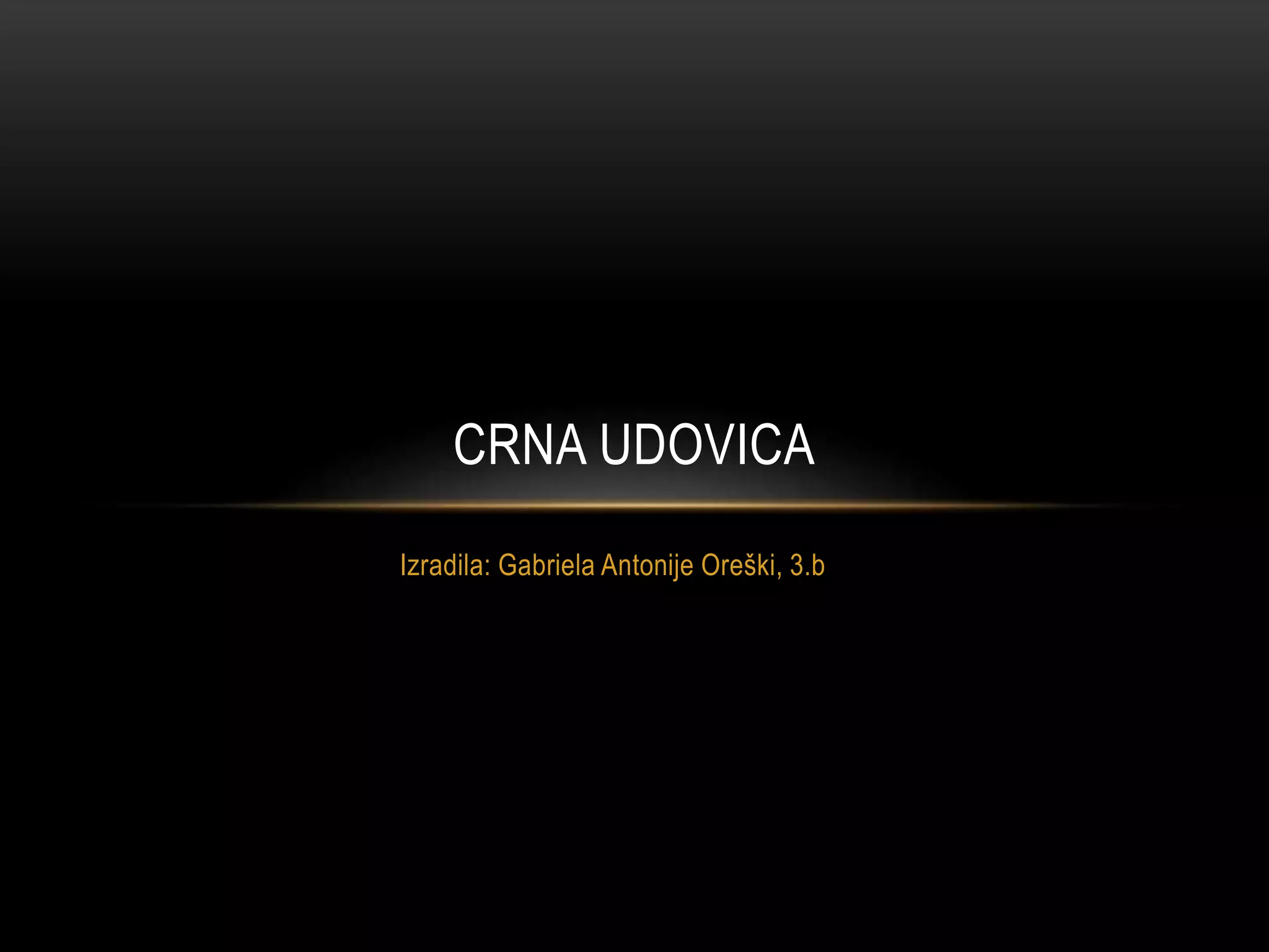 Crna udovica | PPTX