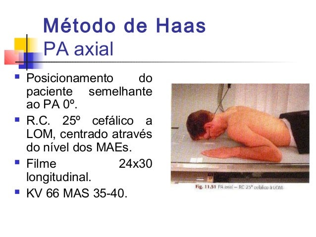 Crânio,saf,sela,mandibula,atm