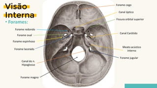 Anatomia Crânio Ósseo | PPT